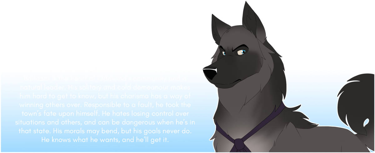 Characters – NO NORTH