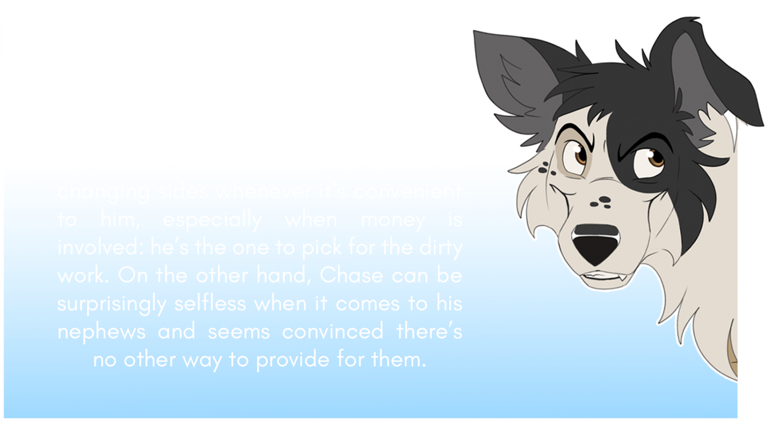 Characters – NO NORTH